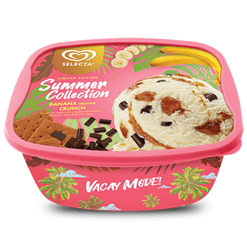 Selecta Ice Cream Price List 2022